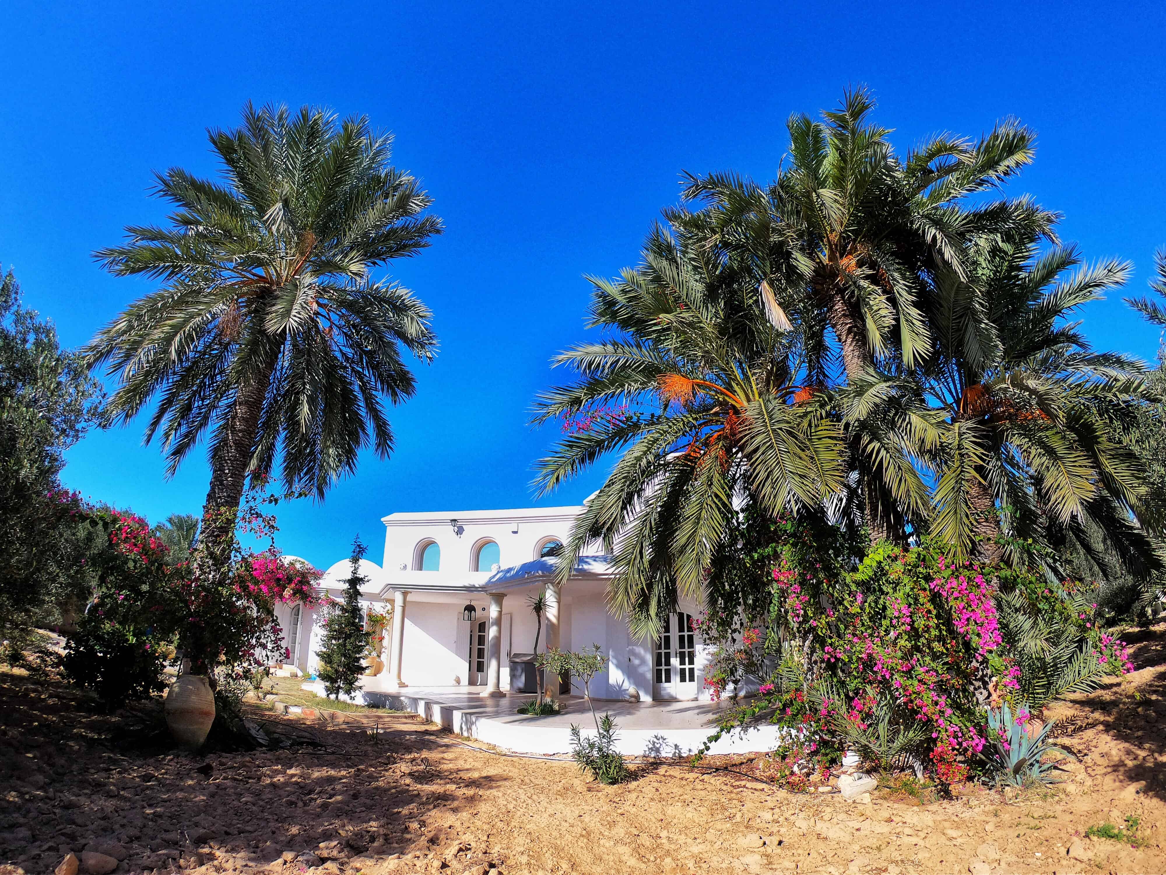 Oasis Kite - Anfänger und Fortgeschrittenen Kitecamp Djerba